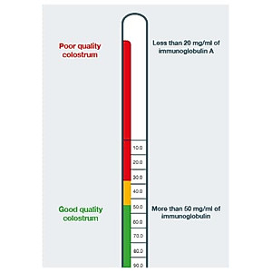 LABO Colostrum Hydrometer with Test Jar, Colostrometer, Hydrometer for Milk