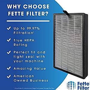 Fette Filter - PM1539 True HEPA H13 Replacement Air Purifier Filter Set Compatible with Inofia Air Purifier System Compare to Part # PM1539. Pack of 2