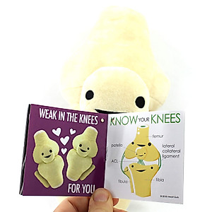 I Heart Guts Knee Joint Plush - Kneed for Speed - Knee Joint Stuffed Pillow Toy Bone, Knee Surgery Gifts - Doctors, Physical Therapists & Orthopedic Surgeon Gifts
