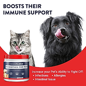 Geneflora Digestive Enzymes and Probiotics for Dogs, Cats, Rabbits and More to Boost Immunity, Relieve Allergies, Reduce Doggy Breath, Reduce Diarrhea and Gas, and Promote Regular Bowel Movements