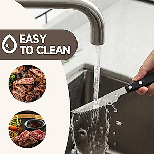 SANHUI Steak Knives, Steak Knife Set of 6, German Stainless Steel Steak Knife Serrated