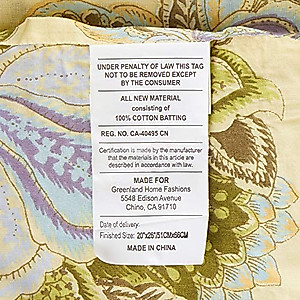 Greenland Home Fashions Blooming Prairie Standard Sham-Multi, 20x26-inch, Multicolor