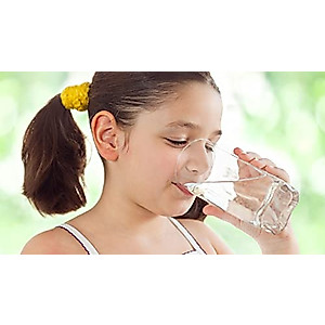 Watts Premier WP101013 Carbon Block Volatile Organic Chemicals (VOC) Replacement Water Filter, White