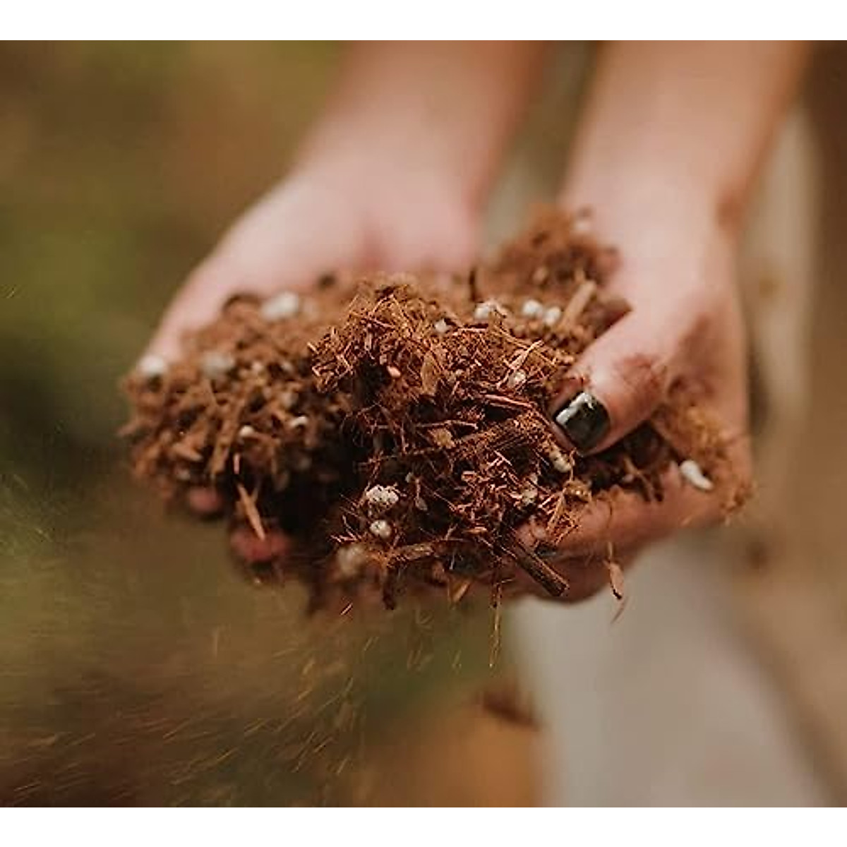 IvyMay Redwoods Potting Soil ― Organic Potting Mix for Indoor House Plants & Aroids, Ready to Use Potting Soil Indoor Plants with Perlite, Earthworm Castings, Essential Oils ― 4 qt