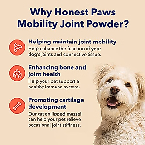Honest Paws Mobility Hip and Joint Supplement for Dogs - Enhance Bone Health Lubricate Joints - Green Lipped Mussel, Glucosamine, Fish Oil, Chondroitin Sulfate, MSM, Vitamin C with Natural Flavors