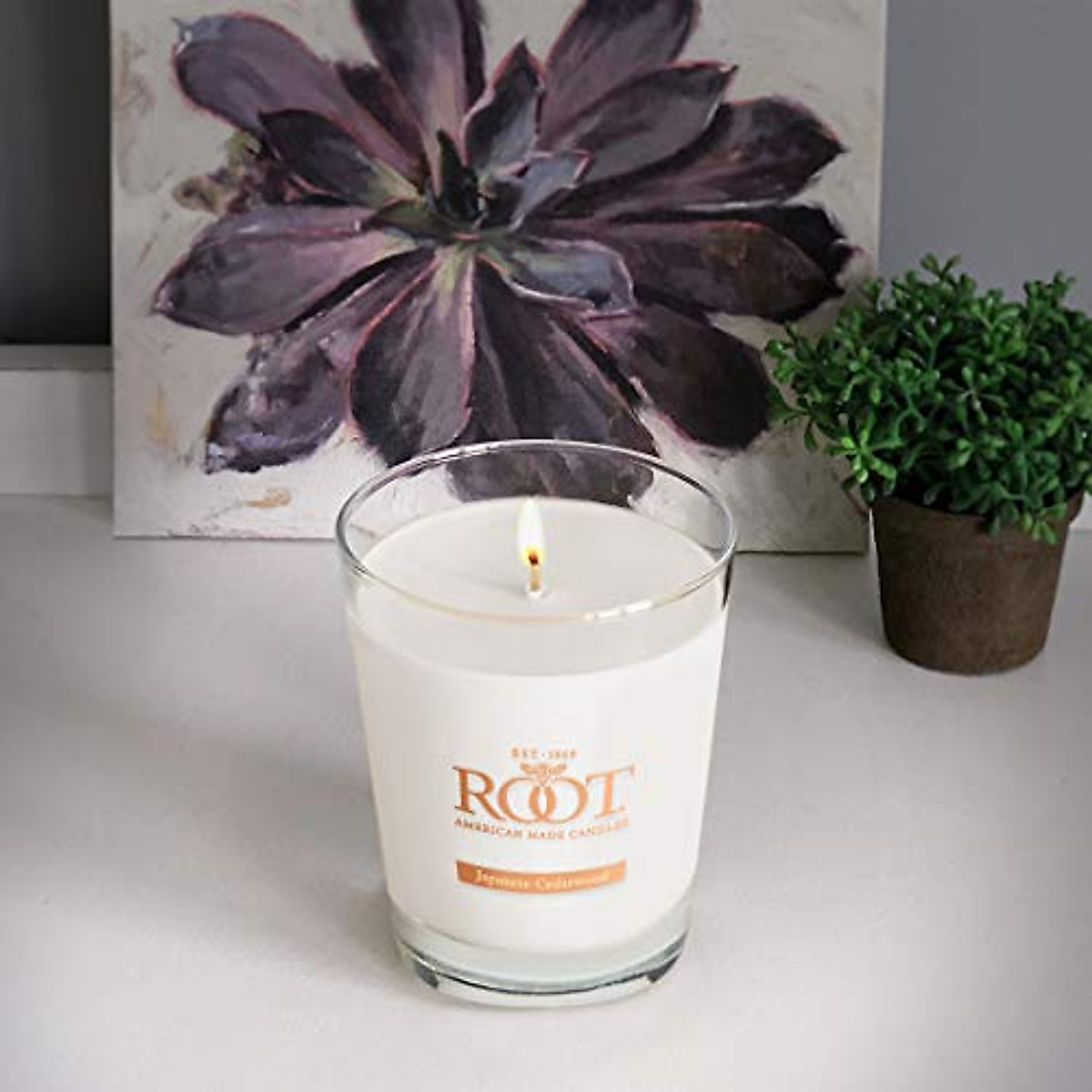 Root Candles Scented Candles Honeycomb Veriglass Premium Handcrafted Beeswax Blend Candle, Large, Japanese Cedarwood