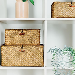 Ruosuruosu Decorative Wicker Storage Bins with Lids,Woven Seagrass Storage Baskets for Kids Toys,Shelves, Bathroom, Bedroom,Set of 3 Stackable Storage Boxes Large, Medium, Small