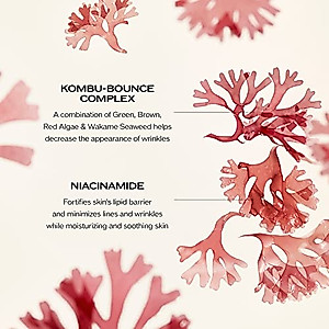 Shiseido Benefiance Wrinkle Smoothing Cream Enriched - 50 mL - Anti-Aging Moisturizer for Dry to Very Dry Skin - Visibly Corrects Wrinkles & Intensely Hydrates - Non-Comedogenic