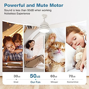 warmiplanet Ceiling Fan with Lights Remote Control, 48-Inch, White, Silent Motor, 3-Blades