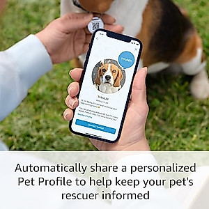 Ring Pet Tag | Easy-to-use tag with QR code | Real-time scan alerts | Shareable Pet Profile | No subscription or fees