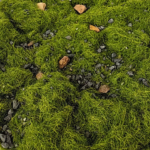 Miniature Scenery Basing Material Kit Terrain Kit for DIY Model Terrain Scenery Model Railway Fairy Garden Diorama Scenery, Pack of 3