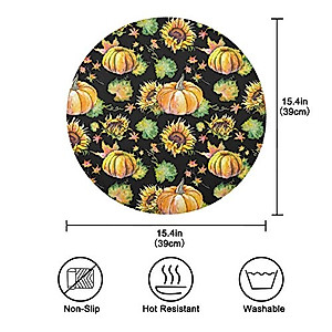 Placemats for Dining Table Mats - Autumn Pumpkins Sunflowers Leaves Branches Place Mat Holiday Place Mats Home Decoration 15.4 inch