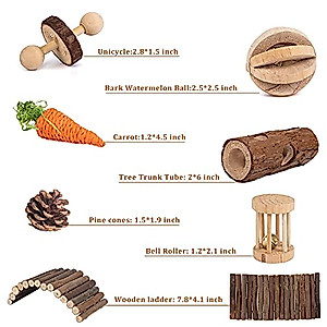 Sofier Hamster Toys Hamster Accessories for Cage Natural Guinea Pig Toys and Chews for Teeth Rat Toys Chinchilla Toys Wood Hamster Hideout Hamster Bridge Apple Wood Sticks