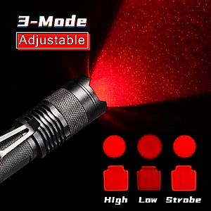 RaySoar 2 Pack Red Light Flashlight Red LDE Flashlight Red Flashlight Night Vision Flashlight for Astronomy, Night Observation and Outdoor Activities(2 PCS)