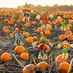 6 Pieces Mini Scarecrow on a Stick Fall Decoration Small Scarecrow Thanksgiving Decor Autumn Fall Harvest Standing Scarecrow Decor for Autumn, Halloween, Thanksgiving, Garden, Home, Yard, Porch()