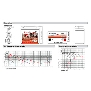 Deka ETX30L Motorcycle Battery (Replacement)