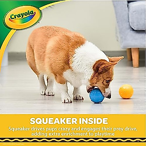 Crayola for Pets 2pk Balls in Pup-Visible Colors Dogs See Best, Embossed Texture for Easy Grip Fetch and Chew, TPR, Rubber Chew Toys for Dogs, Yellow + Blue Tennis Ball Style Dog Toys