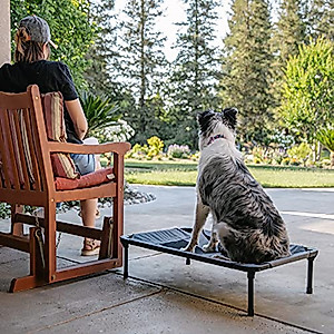 Lucky Dog 36'' Elevated Pet Bed Cot | Indoor & Outdoor Use | Gray