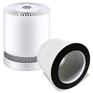 Nispira True HEPA Filter Replacement Compatible with Rigoglioso Air Purifier GL-2109 GL2109. 1 Pack