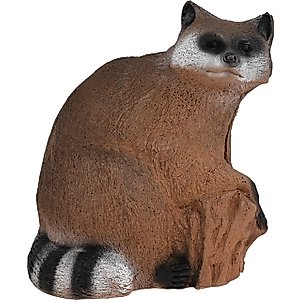 Backyard Raccoon 3D Archery Target