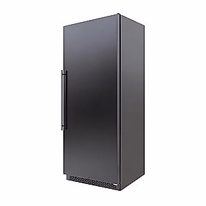 DUURA Elite DE210FRGWB Refrigerator Single Zone Freestanding Fridge for Pantry, Garage, House, Kitchen Use with Adjustable Glass Shelves and Blue LED Lighting, 29.5-Inch, Black