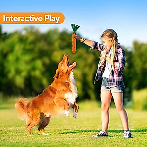 LIFLIX Dog Rope Toy, Tug of War Dog Toy, Cute Carrot Dog Toy with Crinkle Paper Tags