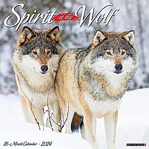 Willow Creek Press Spirit of the Wolf Monthly 2024 Wall Calendar (12" x 12")