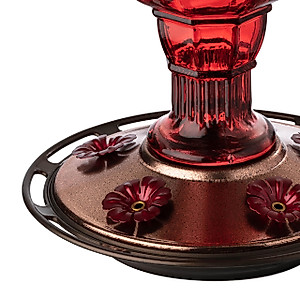 More Birds Red Jewel Hummingbird Feeder, Glass Hummingbird Feeders for Outdoors, 5 Feeding Stations, 20 Ounces