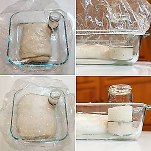 Fresh Sourdough Starter