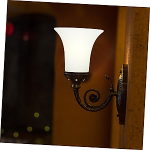 DOITOOL Chic Lampshade Glass Light Cover Easy Assembly for Bedroom Living Room Ceiling Lamp