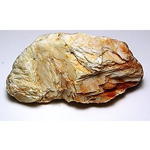 Barite Bologna Stone - Pack of 2 Unpolished Minerals