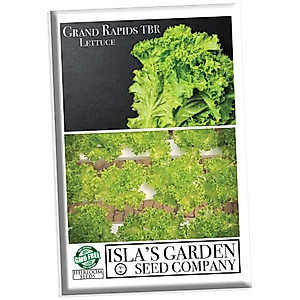 Grand Rapids TBR Lettuce Seeds for Planting, 1000+ Heirloom Seeds Per Packet, (Isla's Garden Seeds), Non GMO Seeds, Botanical Name: Lactuca Sativa, Great Home Garden Gift
