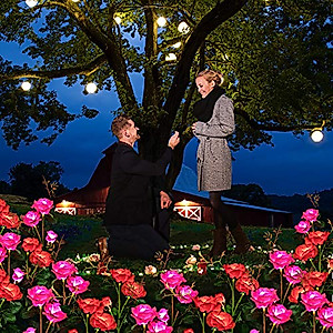 Anordsem Solar Garden Lights - 2 Pack Garden Decor Lights Waterproof Solar Outdoor Lights Pink Rose Light for Garden, Patio, Yard, Flowerbed,Pathway Decor