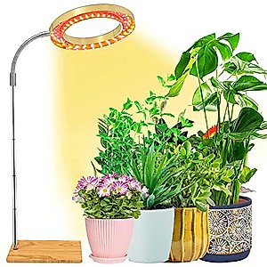 YVMOOEC Grow Light for Indoor Plants LED Growing Light for Indoor Plants Full Spectrum with Base,Height Adjustable 10-60 Inch, Idea for Plant Shelf,Plant Pots,Desk Large Plant Light