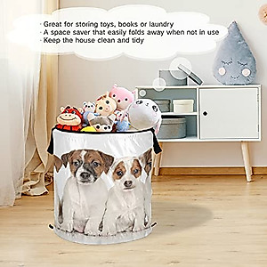 xigua Jack Russell Terrier Puppies Pop Up Laundry Hamper Bucket Cylindric, Foldable Clothes Bag, Folding Washing Bin,Large Capacity Zipper Lid Laundry Storage Basket