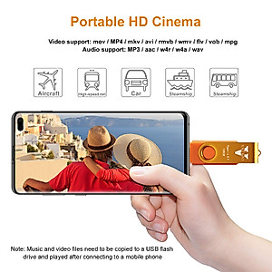 VATAPO 3.1 256GB 3 in 1 High Speed Flash Drive for Android Smartphones with OTG Function,Tablets,Laptop,Desktop,Photo Stick for Samsung Galaxy,LG,Google Pixel,Hua Wei.Moto,One Plus,etc.