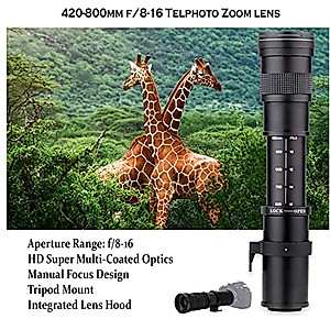 Paging Zone 4000D (Rebel T100) DSLR Camera Bundle with EF-S 18-55mm f/3.5-5.6 Lens + 420-800mm Telephoto Zoom Lens + Professional Kit