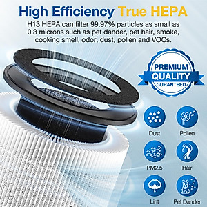 D10 Replacement Filter Compatible with Tailulu D10 HEPA Air Purifier, 3-in-1 H13 Grade True HEPA Replacement Filter, 360 Rotating D10 Filter, 2 Pack