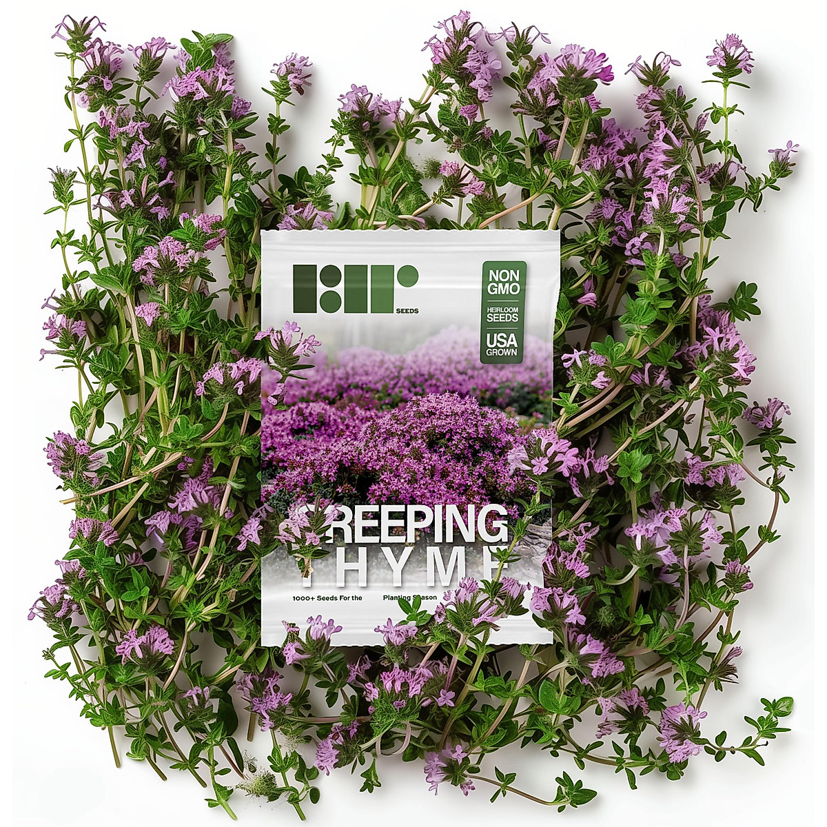 1,000 Creeping Thyme Seeds for Planting - Heirloom Non-GMO Ground Cover Seeds - AKA Breckland Thyme, Mother of Thyme, Wild Thyme, Thymus Serpyllum - Purple Flowers