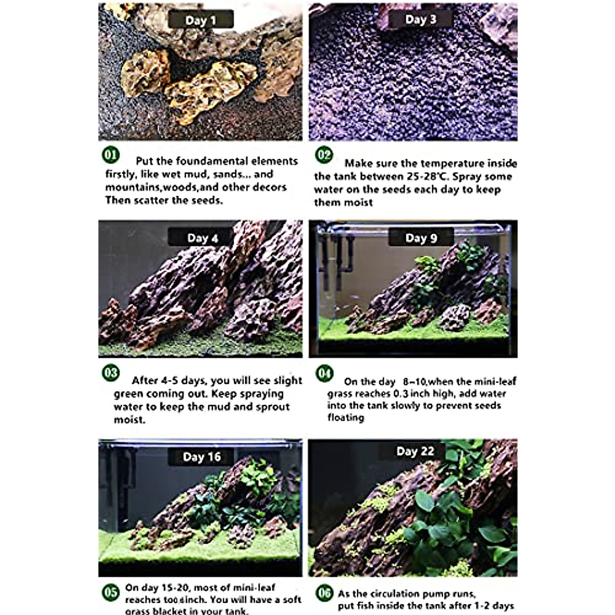 3 Pack Live Aquarium Plant Seeeds, Fresh Water Fish Tank Carpet Grass Plants Mini Leaf & Long Hair Grass for Terrarium Aquatic 21c