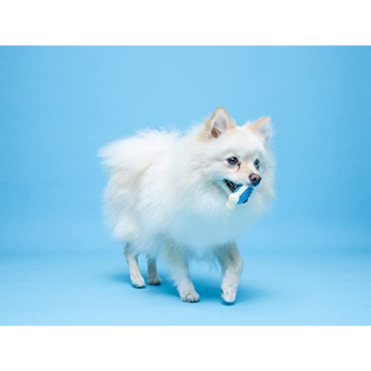 Hartz Chew 'n Clean Tuff Bone Bacon Scented Dental Dog Chew Toy - Extra Small