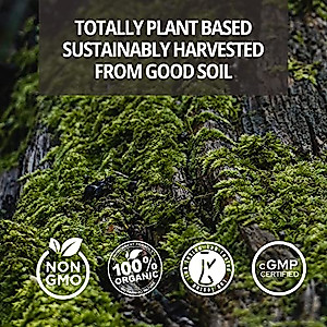 Vitamin D3 5000IU Gummies 125mcg with Calcium 600mg+K2( MK7 ) 200mcg, Coconut Oil for High Absorption, Maximum Strength Vitamin D Supplement - Support Strong Bones, Immune System Health Vegan 60 Count