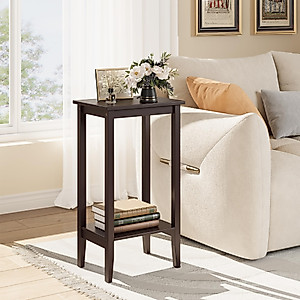 FOTOSOK Tall End Table with 2-Tier Storage Shelf, Small Sofa Side Table Nightstand for Living Room Hallway Small Spaces, Dark Brown