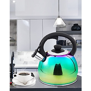 HausRoland Tea Kettle 2.1 Quart Stainless Steel Stove Top Induction Modern Kettle Teapot (GS-04048-A-781B, Rainbow)