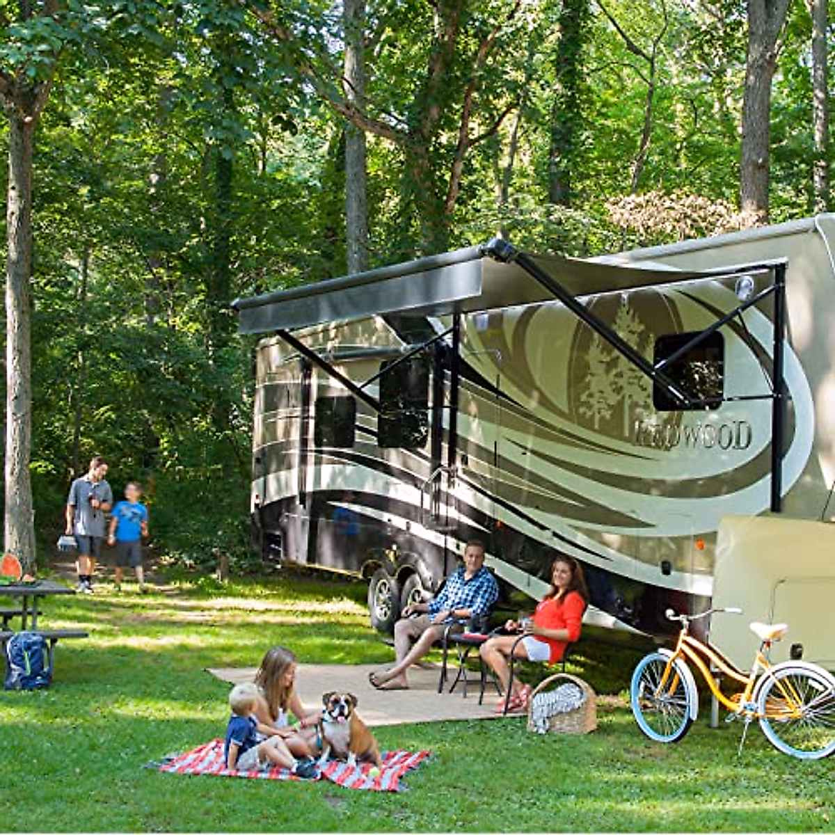 Solera Replacement Power Awning Switch Kit for 5th Wheel RVs, Travel Trailers and Motorhomes