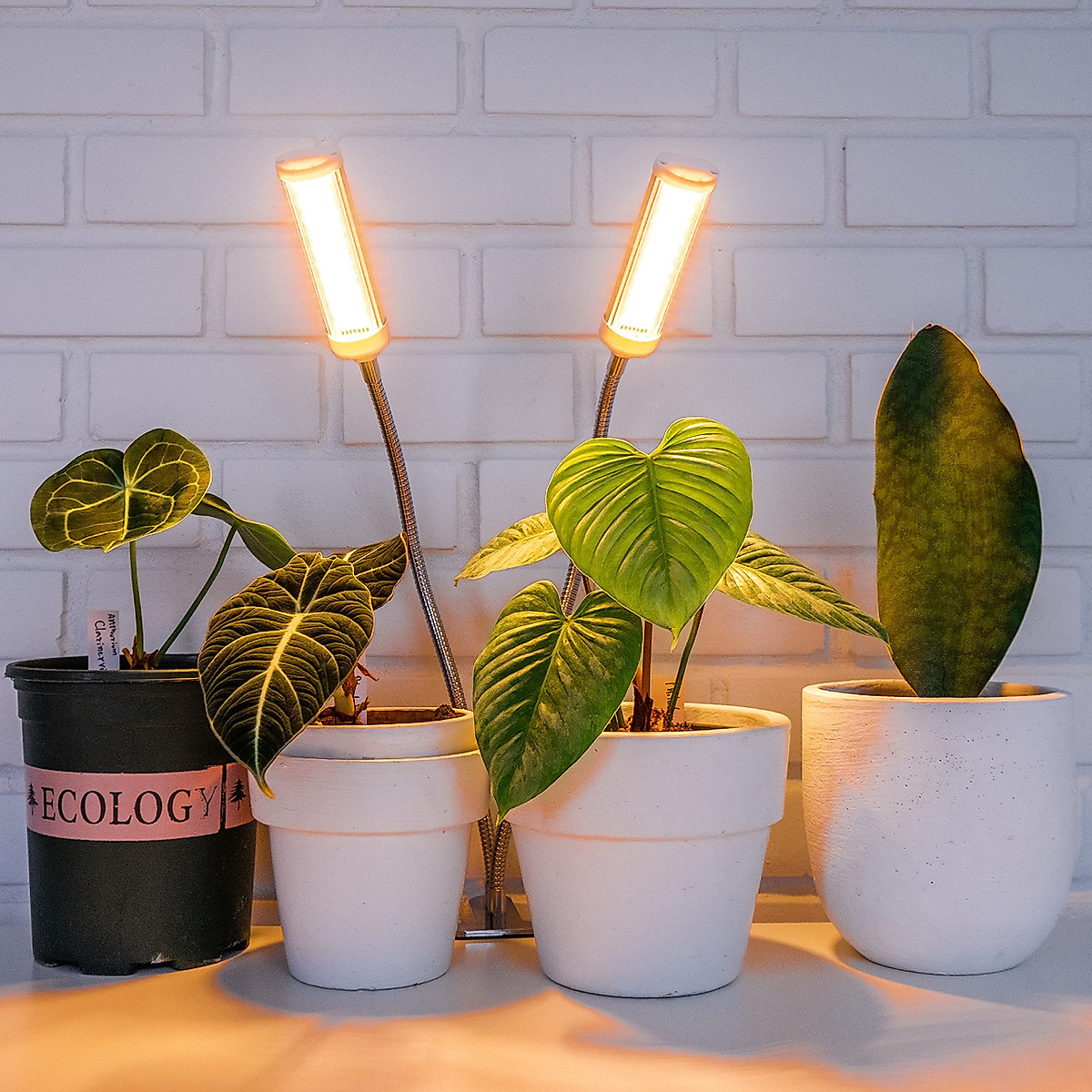 Brite Labs LED Grow Lights for Indoor Plants & Seedlings, Dual Head Plant Growing Lamps with 100 Full Spectrum Bulbs, Auto On Off Timer, Adjustable Gooseneck Arms, Desk Clip On, Dimmable Switch Modes