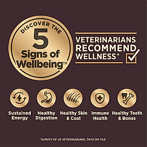 Wellness CORE Digestive Health Dry Dog Food with Wholesome Grains, Highly Digestible, for Dogs with Sensitive Stomachs, Made in USA with Real Chicken (Adult, 4-Pound Bag)