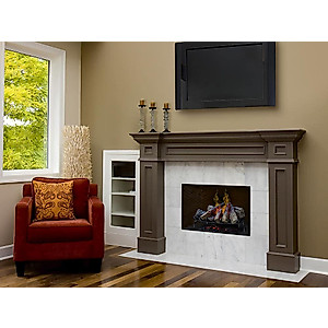 DIMPLEX DLGM29 Opti-Myst Open Hearth Fireplace Insert with Faux Logs Bed, Alabaster