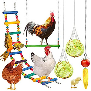 5 Pcs Chicken Toys Set for Hens Chicken Bird Hanging Swing Ladder Toys for Coop Accessories Chicken Pecking Toys Veggies Skewer Vegetable Fruit Hanging Feeder Bag for Chicks Pet Parrots Stress Relief