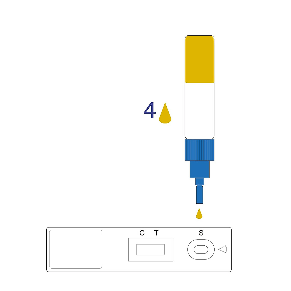 Gluten Detect at-Home 2 Pack Stool Test to Monitor Past Gluten Exposure in The Gluten Free Diet to Prevent Future Gluten Related Symptoms